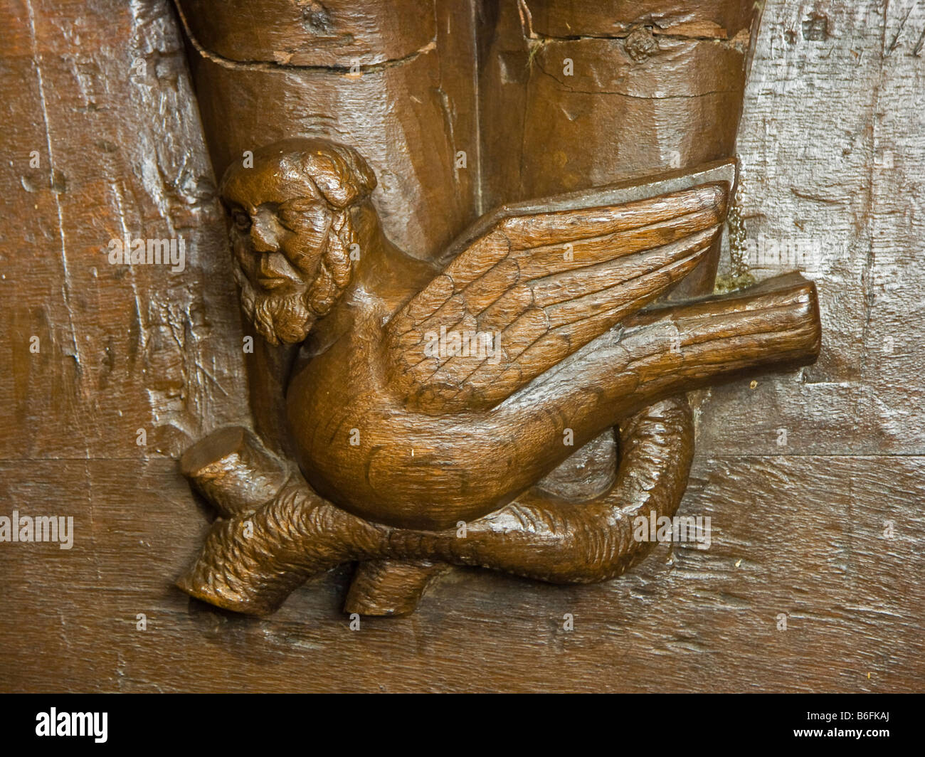 Medieval misericord hi-res stock photography and images - Alamy