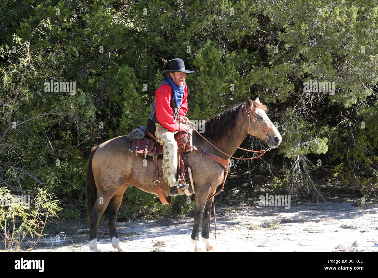 A cowboy laughing hard while on horseback Stock Photo - Alamy