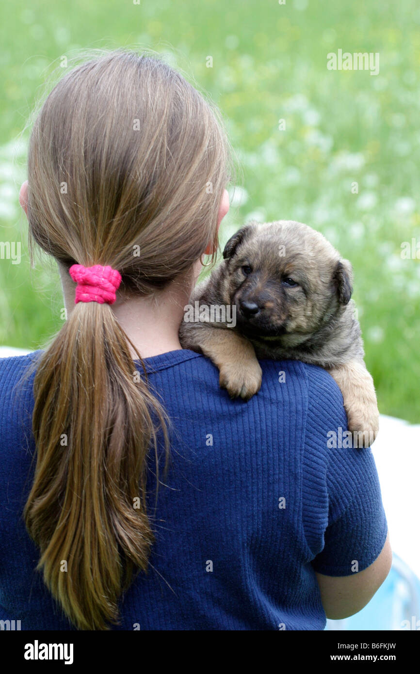 Girl with puppy Stock Photo - Alamy
