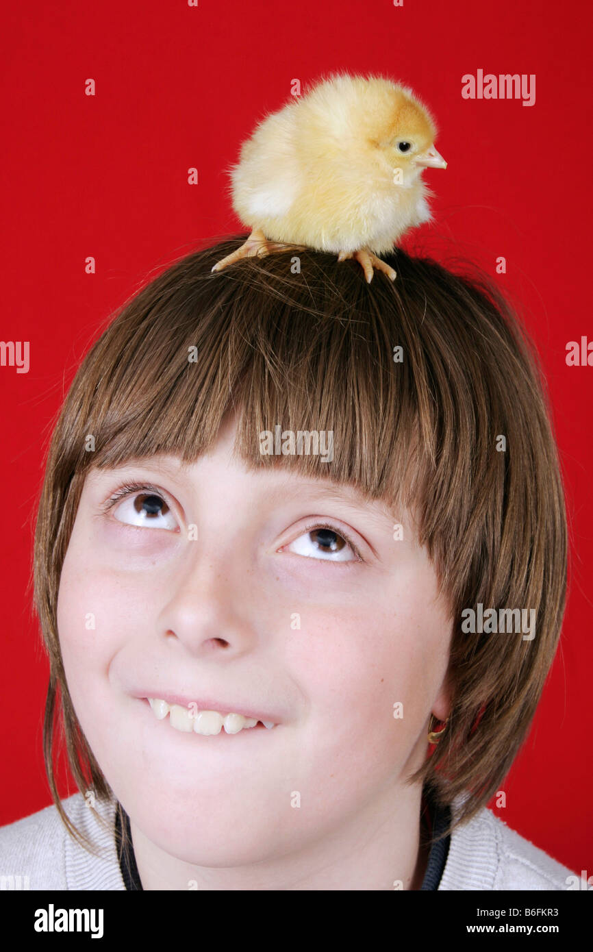 Girl, 10 years, with baby chicken on head Stock Photo - Alamy
