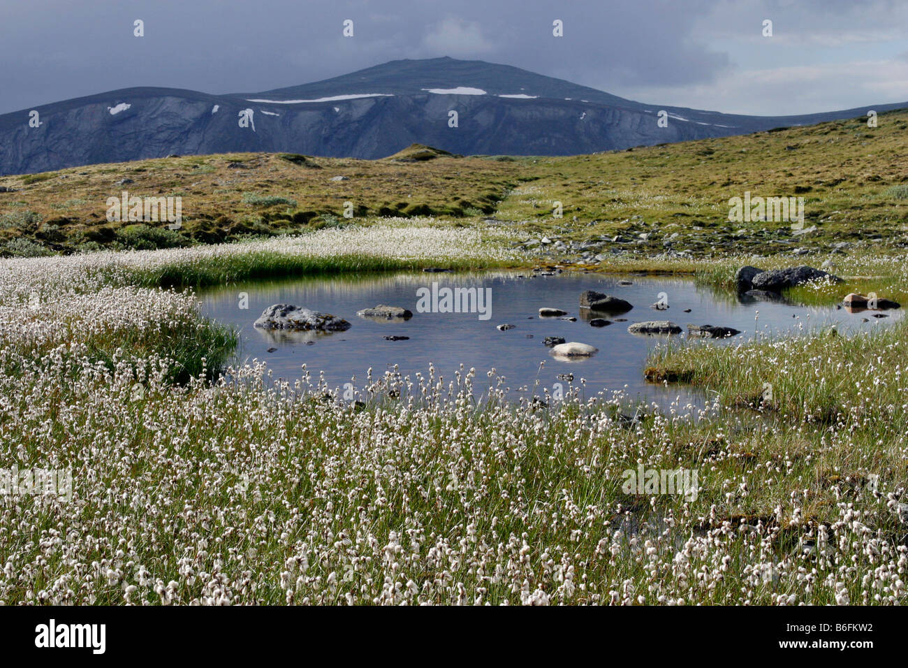 Norwegische nationalparks hi-res stock photography and images - Alamy