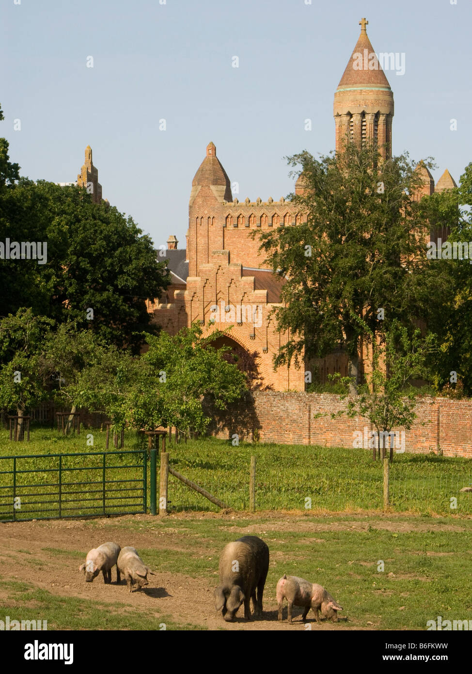 Quarr Abbey Isle Of Wight High Resolution Stock Photography and Images ...