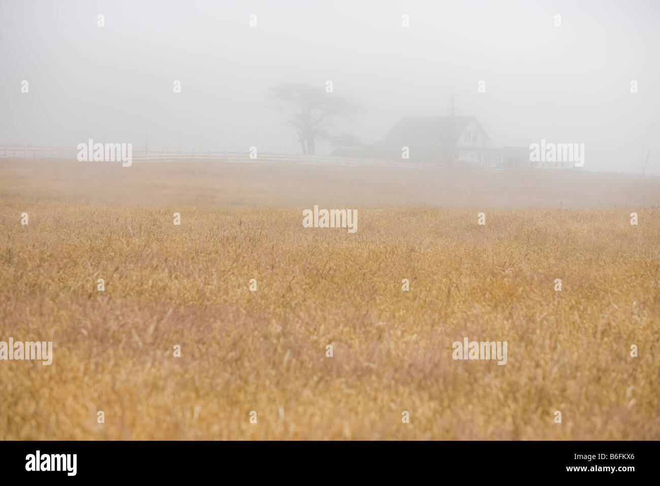 House in the mist Stock Photo - Alamy
