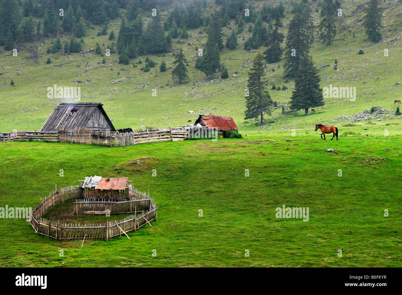 Sheepfold, Bihor Mountains, Parcul Natural Apuseni, Romania, Europe ...
