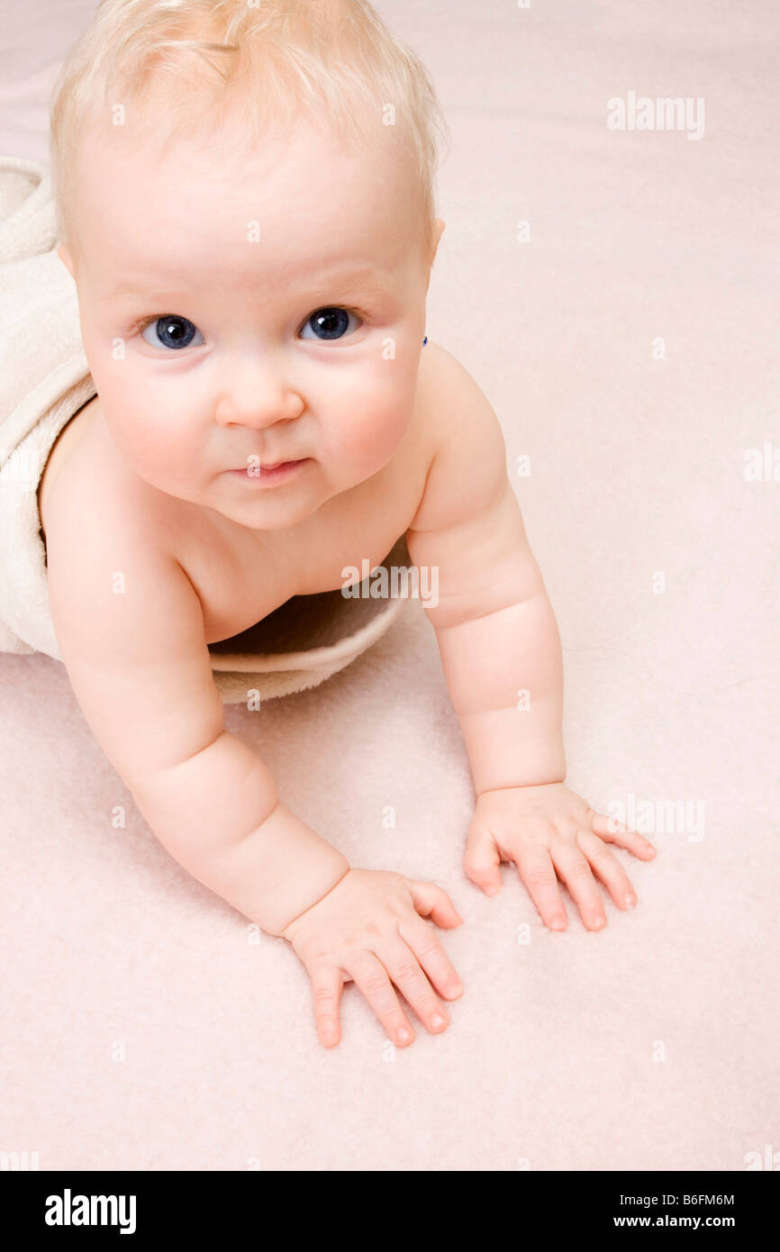 Baby, 7 months Stock Photo - Alamy