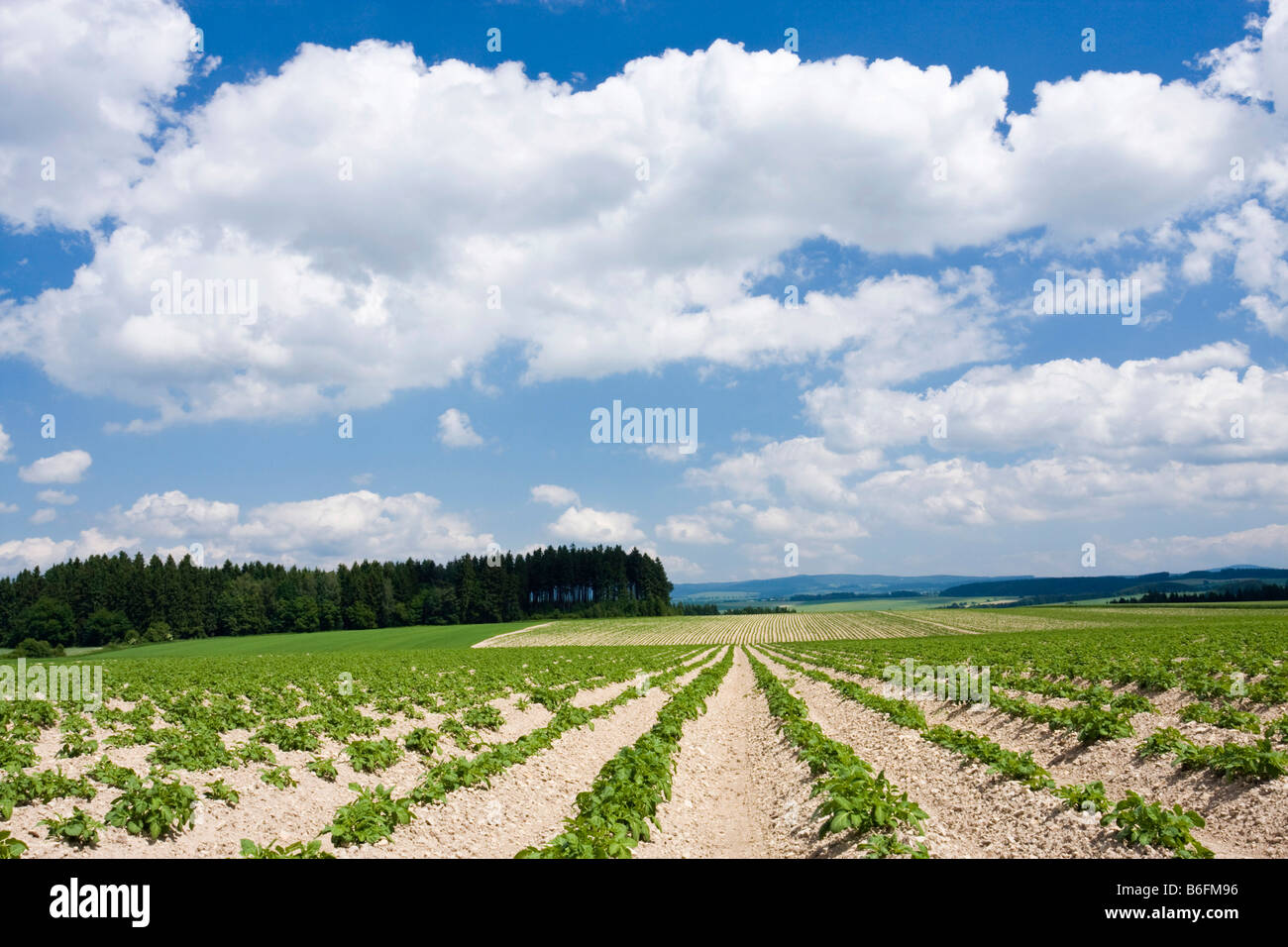 Helvikovice hi-res stock photography and images - Alamy