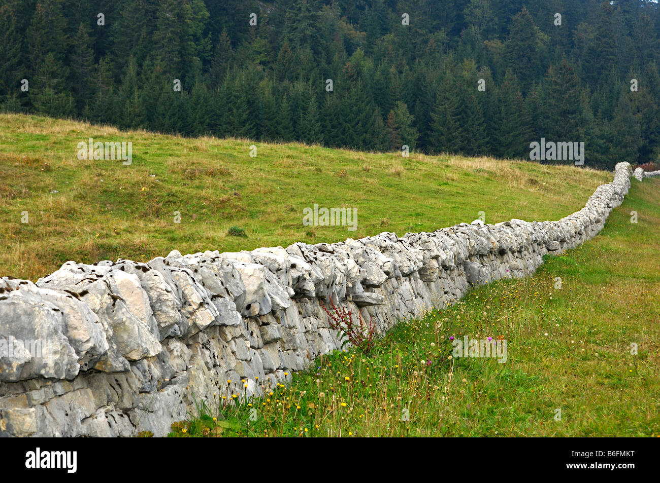 Traditional fencing hi-res stock photography and images - Alamy