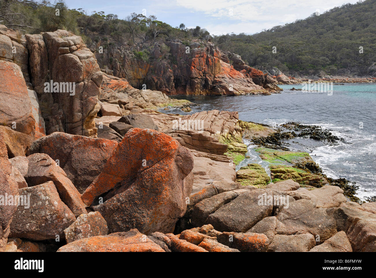 Red granite rocks in Sleepy Bay partially covered by lichen, Freycinet ...