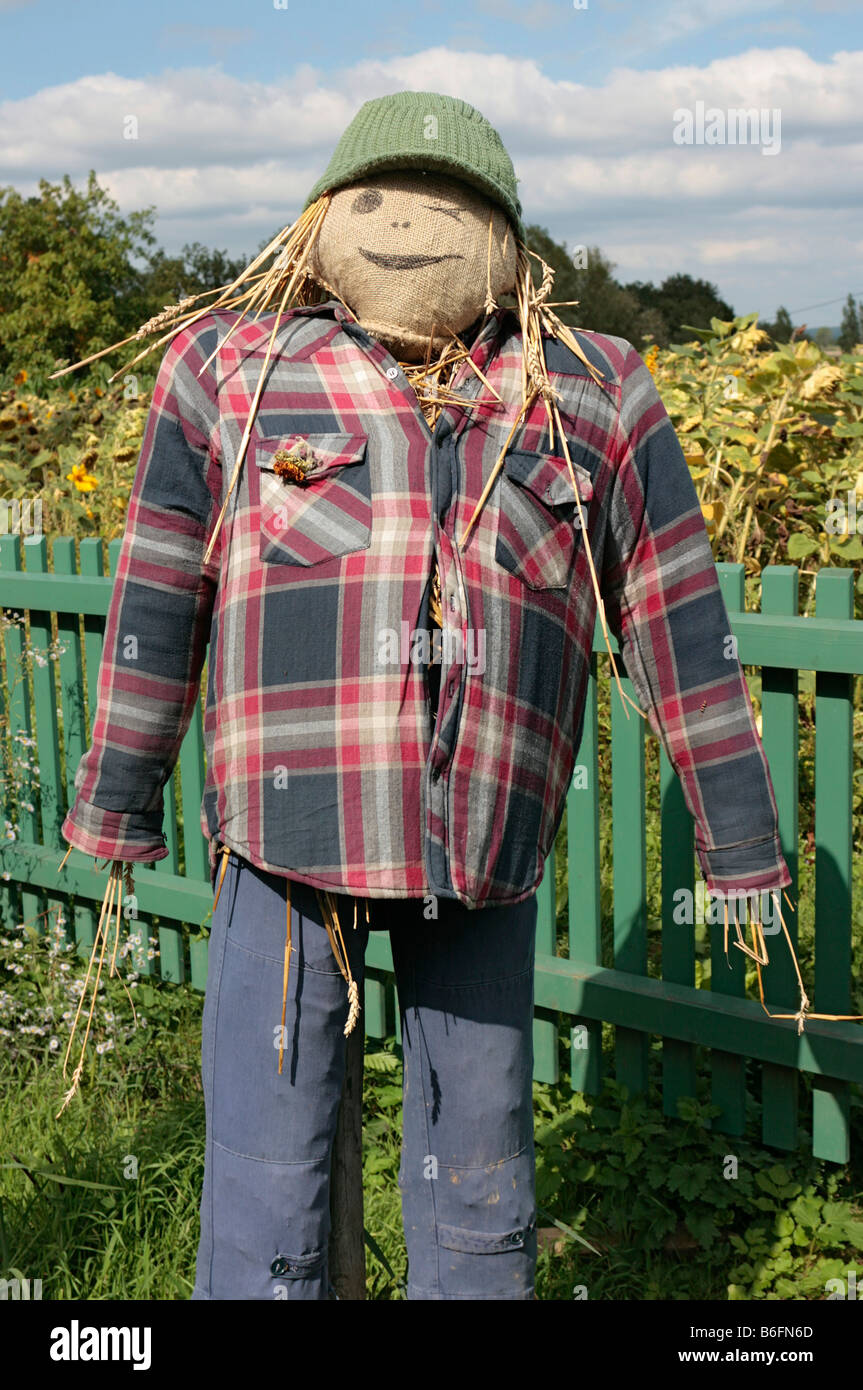 Blink blinks hi-res stock photography and images - Alamy