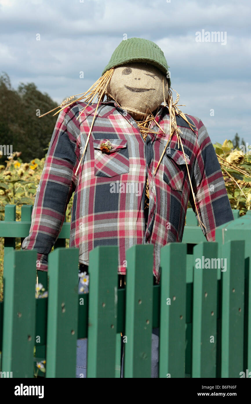 Behind the fences hi-res stock photography and images - Alamy