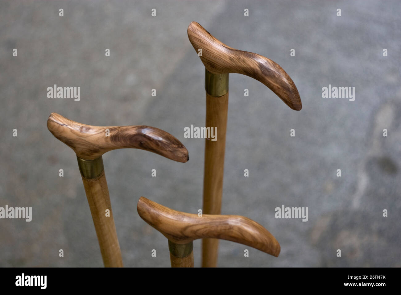 Walking stick walking cane sticks canes hi-res stock photography and ...