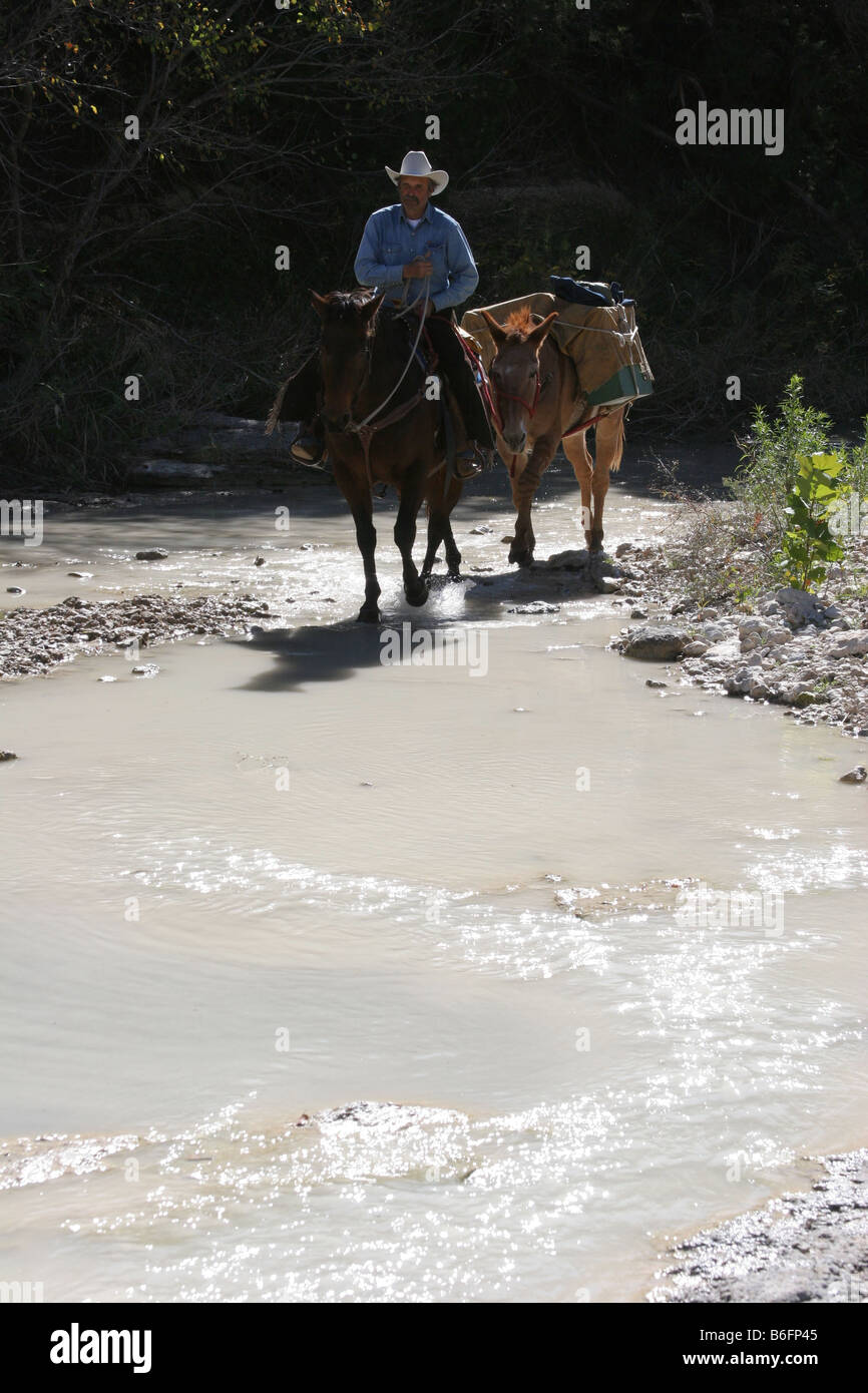 Cowboy riding horse pack horse hi-res stock photography and images - Alamy