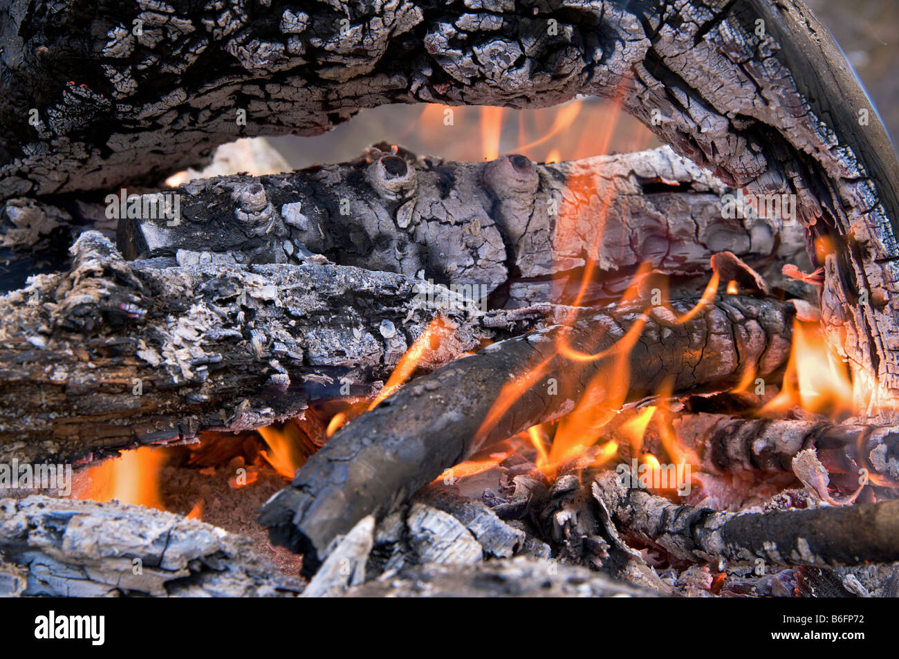 Camp fire burning during day hi-res stock photography and images - Alamy