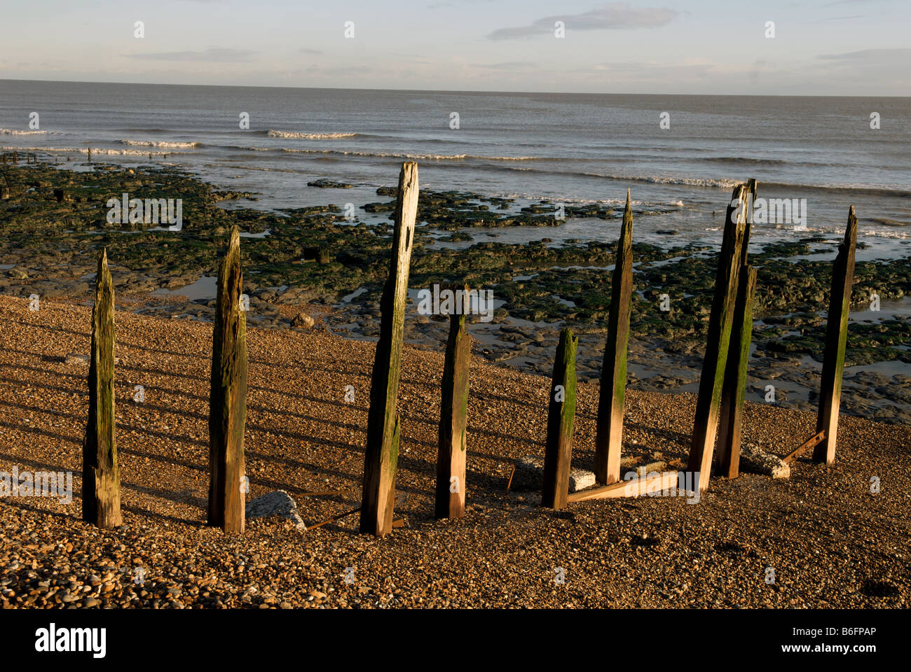 Worn wooden groynes, East Lane, Bawdsey, Suffolk, UK Stock Photo - Alamy