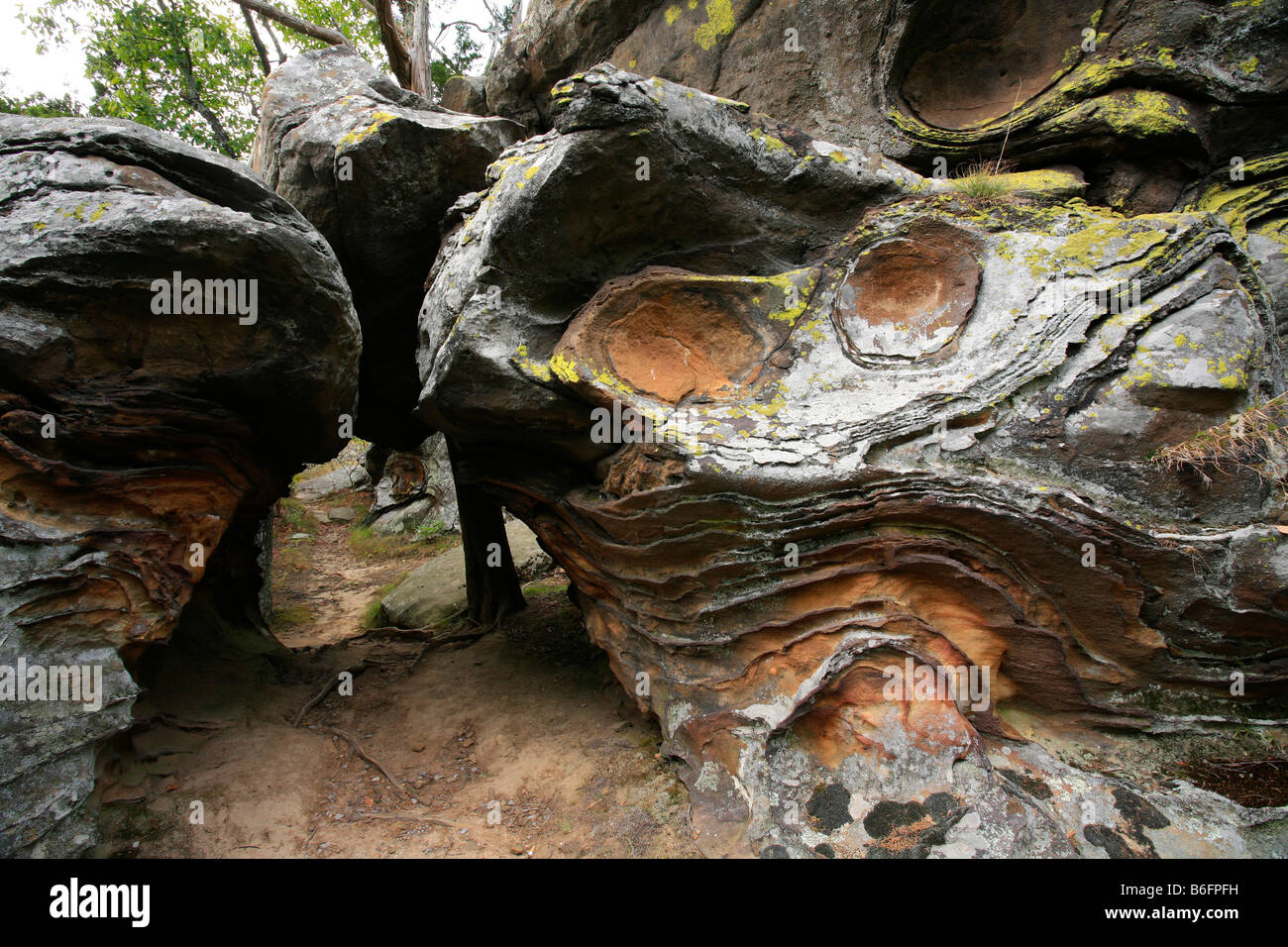 Complex iron precipitation creating wild patterns on sandstone rocks in ...