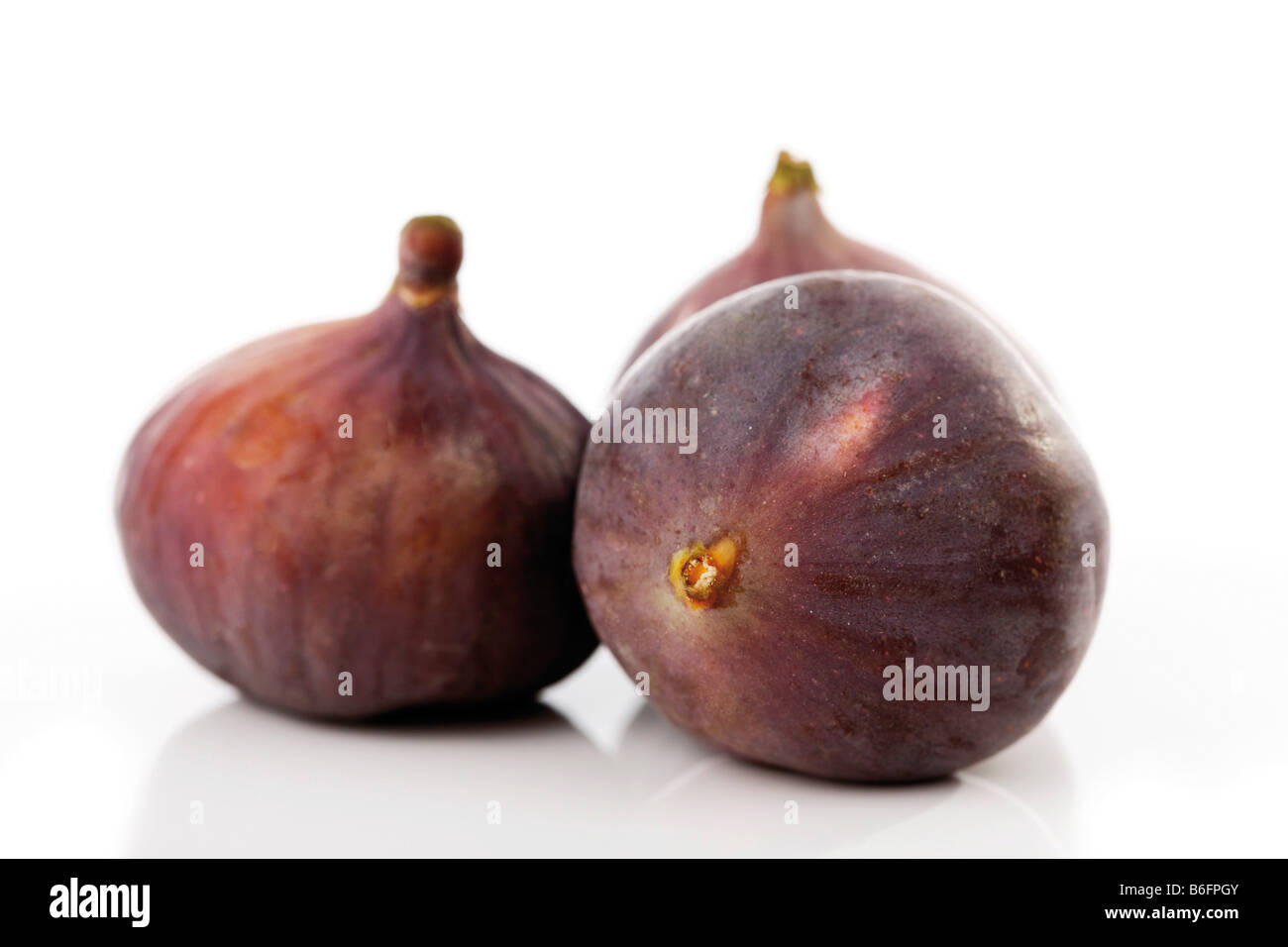 Common Figs (Ficus carica Stock Photo - Alamy