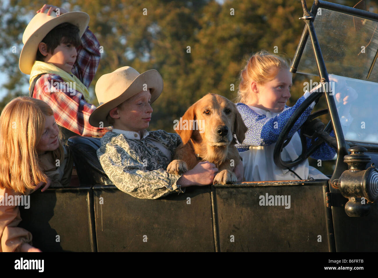 Drive like a dog hi-res stock photography and images - Alamy