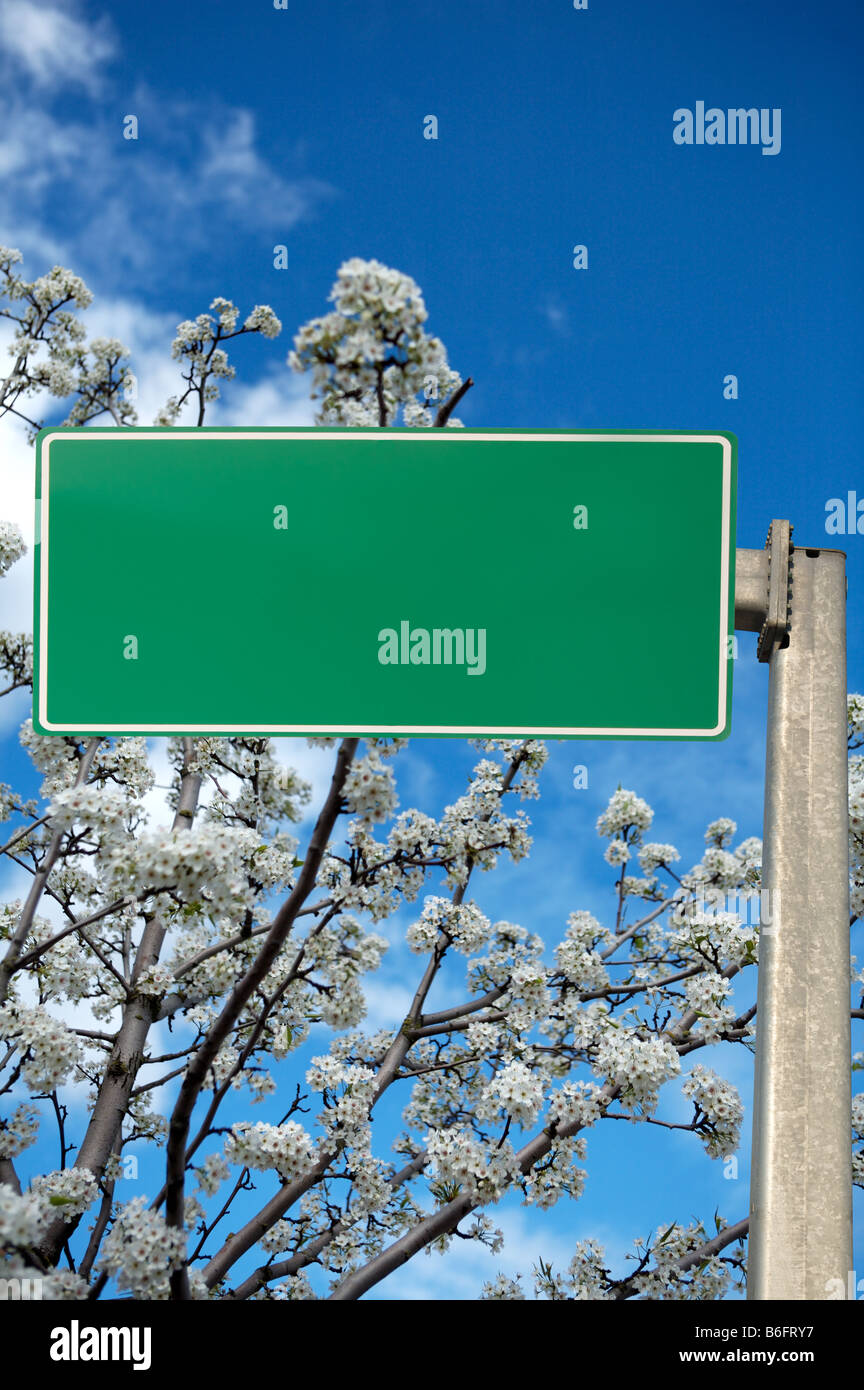 blank green traffic sign Stock Photo - Alamy