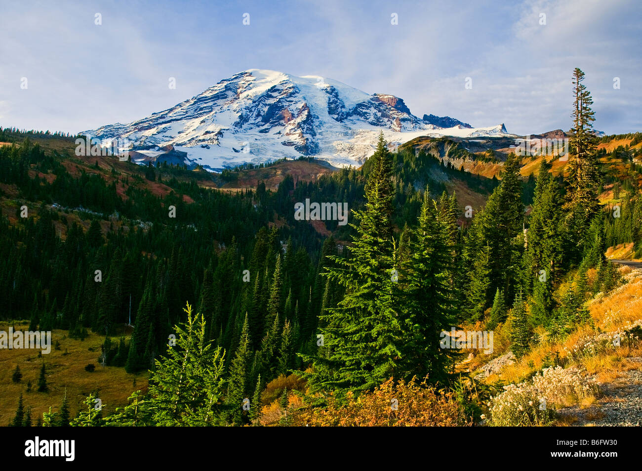 Snow capped Mount Rainier with fall color in the Paradise valley, Mount ...
