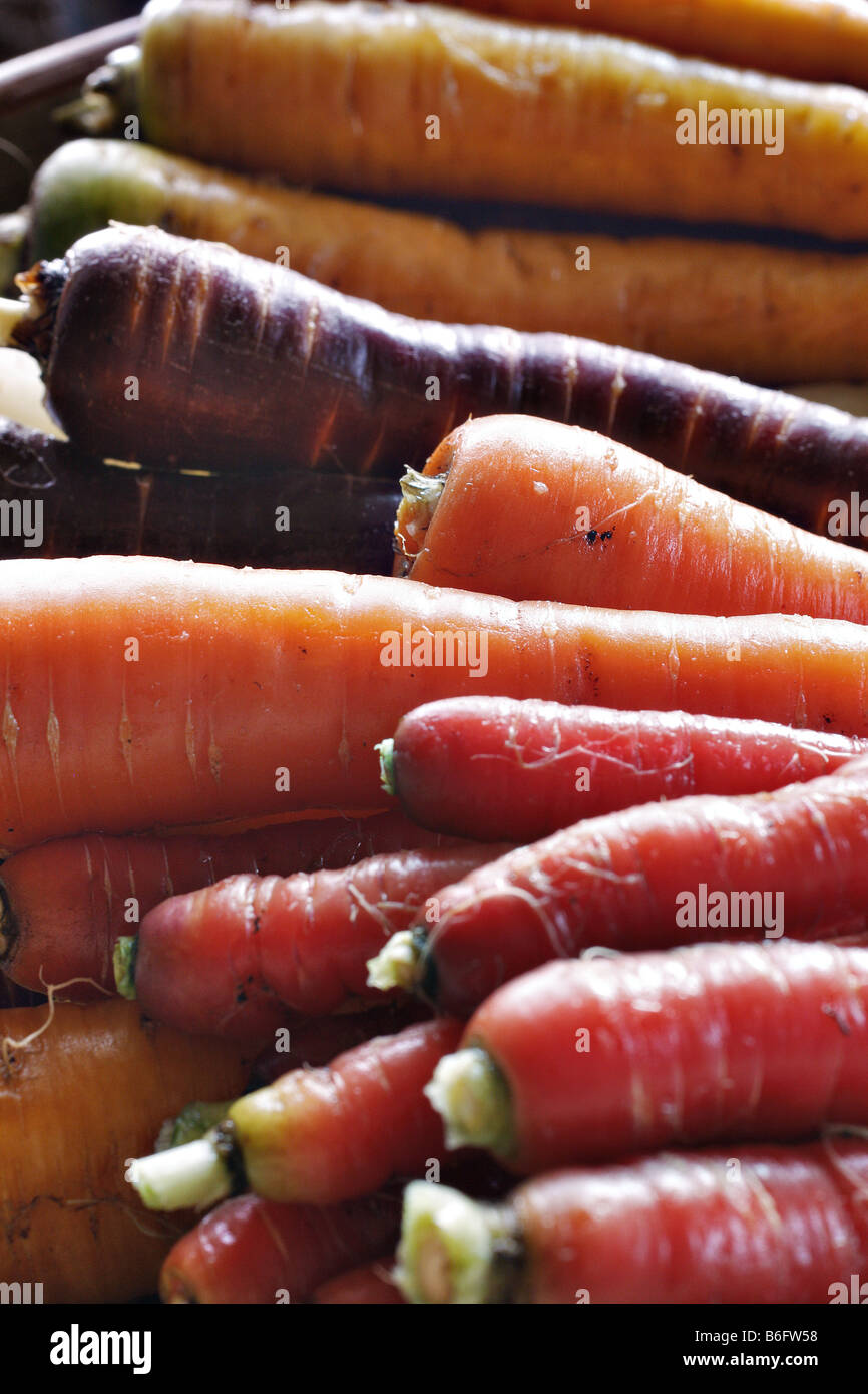 Carrot red samurai hi-res stock photography and images - Alamy