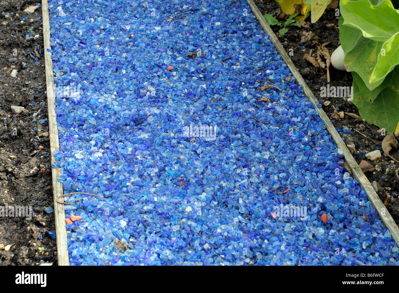 BLUE GRASS PIECES USED AS PATH SURFACING MATERIAL Stock Photo - Alamy