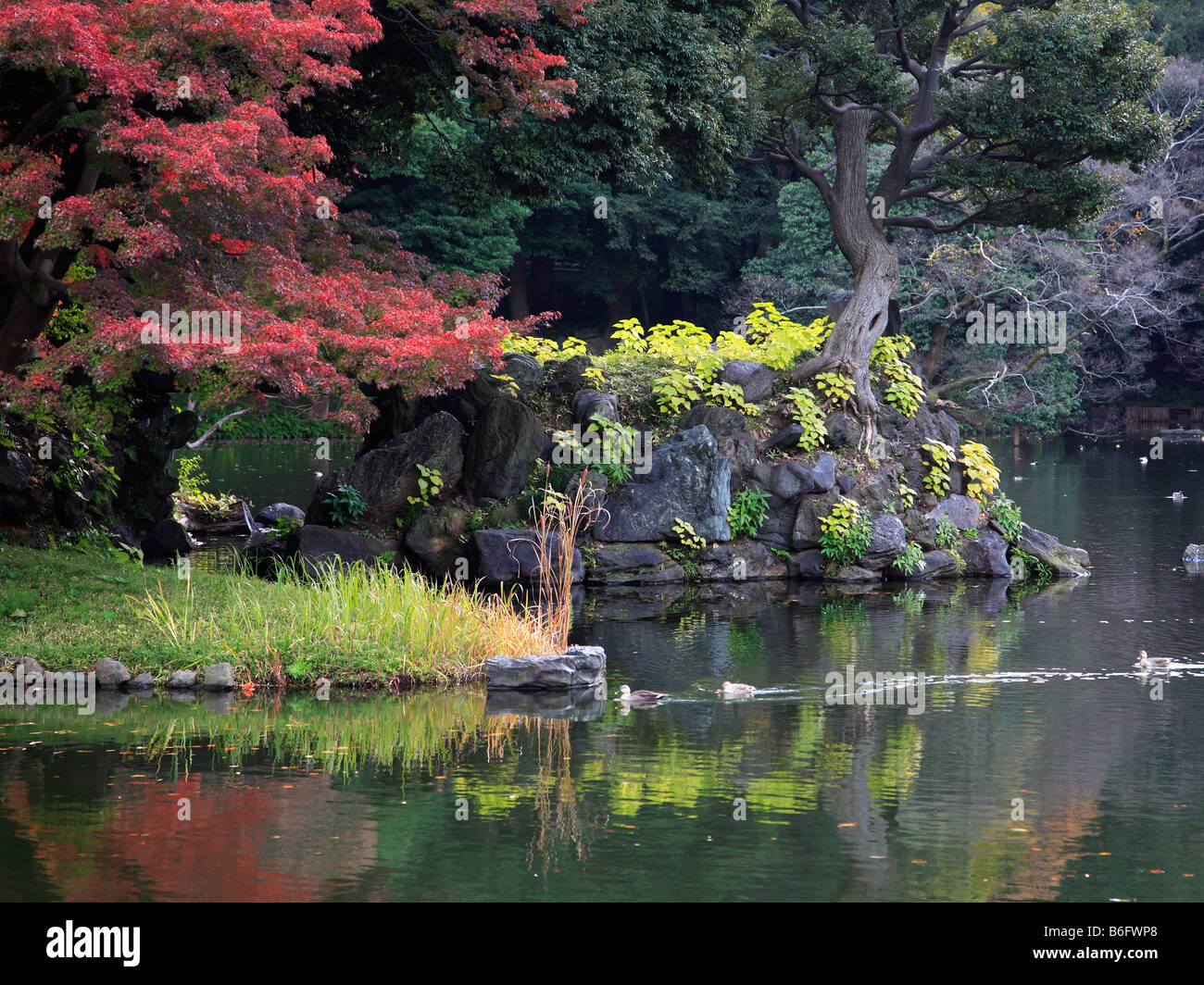 Japan Tokyo Korakuen Garden Stock Photo - Alamy