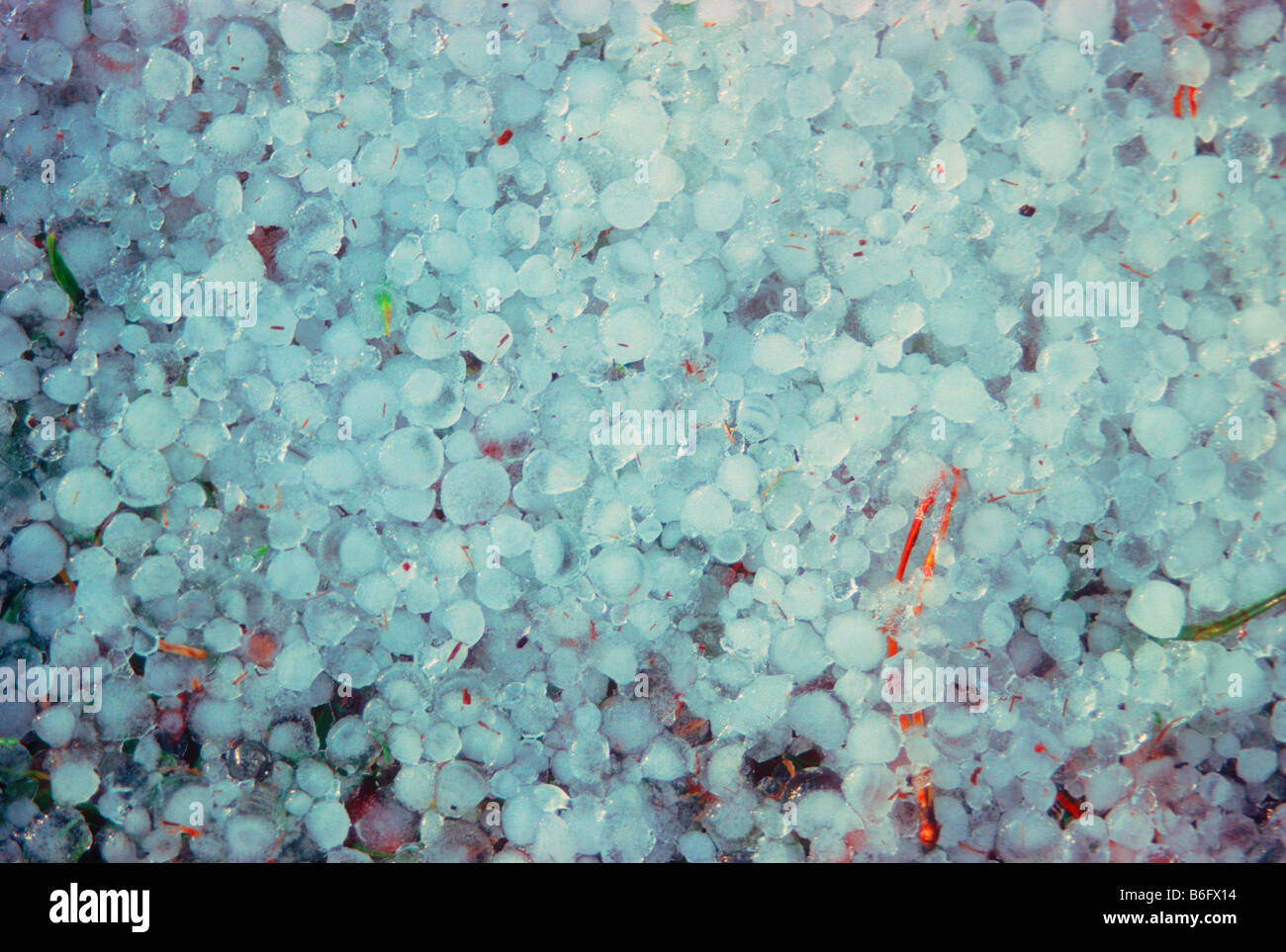 Closeup hail stones hi-res stock photography and images - Alamy