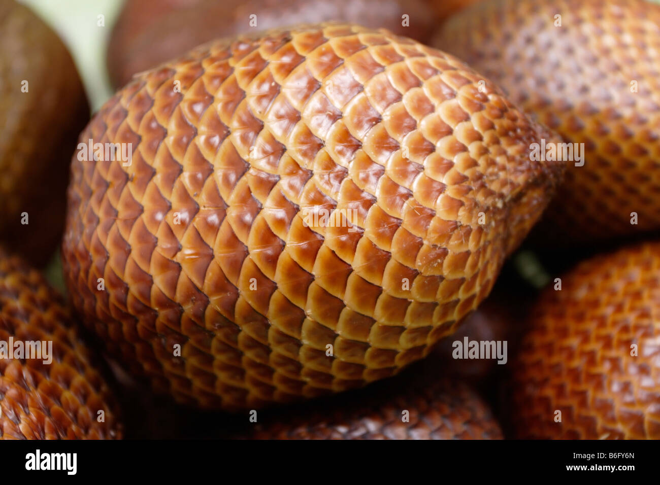 Hard skin fruit hi-res stock photography and images - Alamy