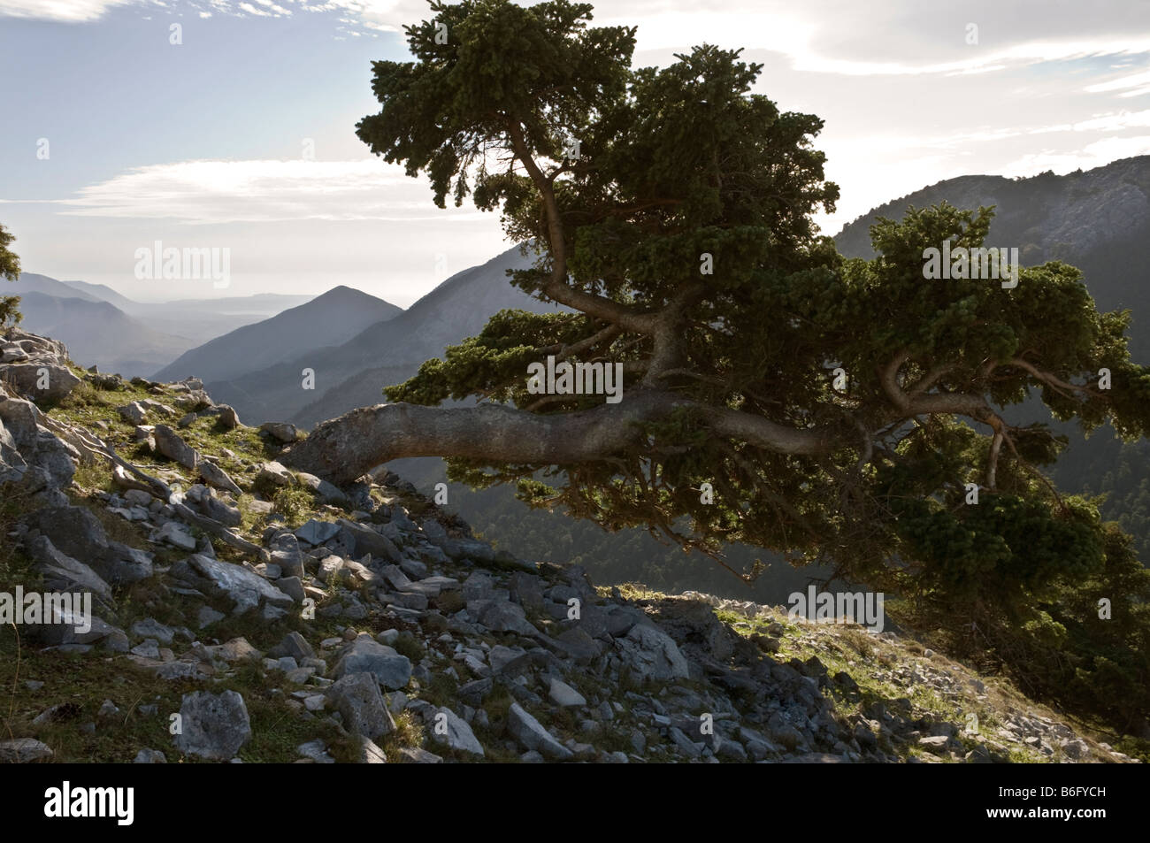 Taygetos mountains hi-res stock photography and images - Alamy