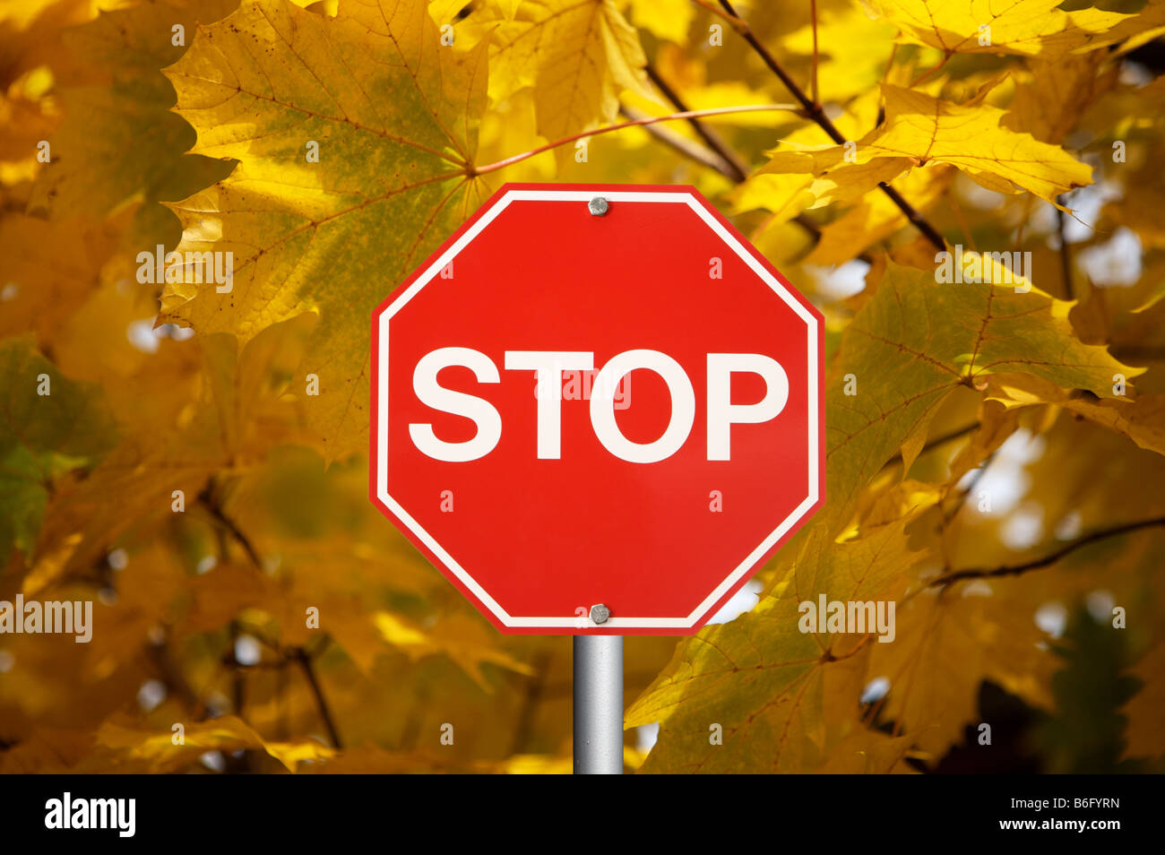 Full stop sign hi-res stock photography and images - Alamy