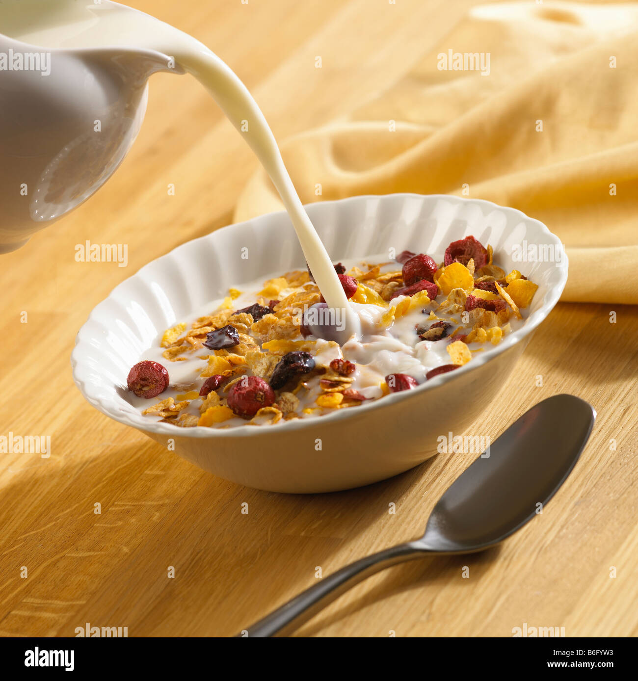 BOWL OF ORGANIC BREAKFAST CEREAL WITH TOASTED SPELT BARLEY CORN ...