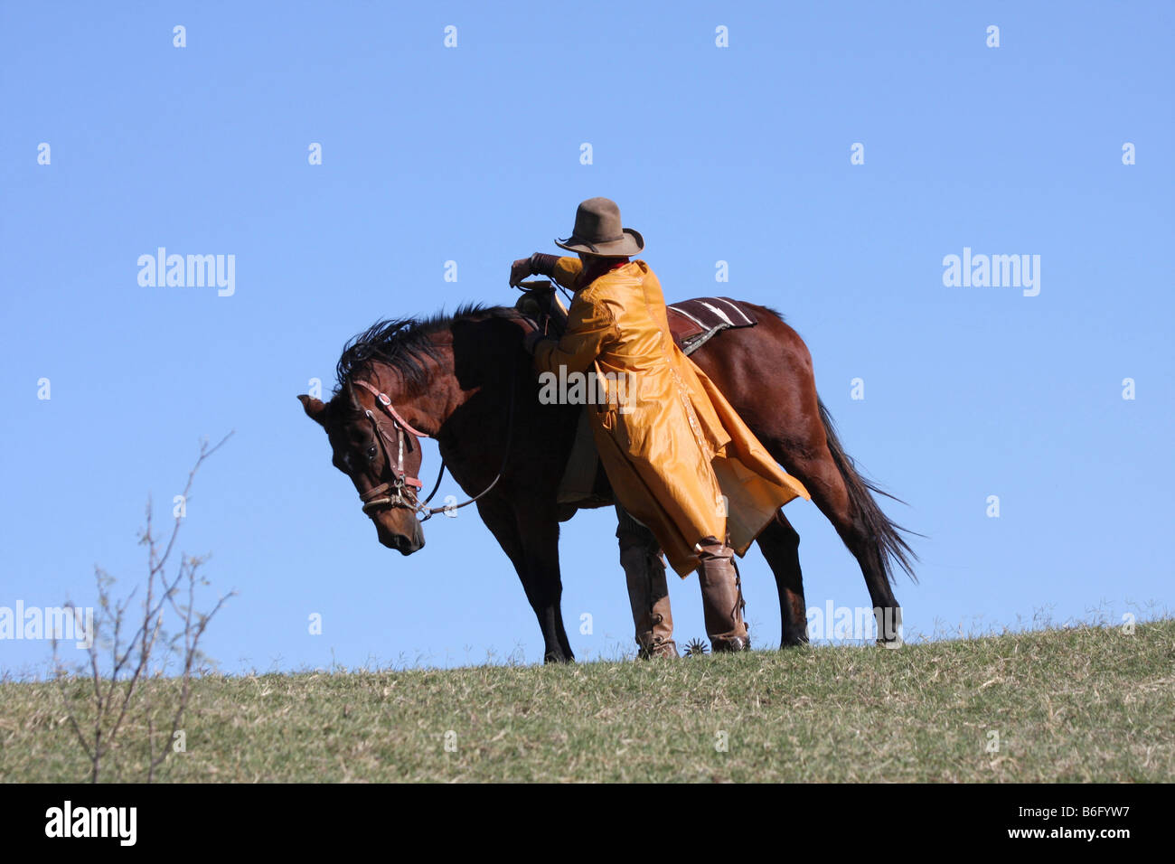 Hard style of riding hi-res stock photography and images - Alamy