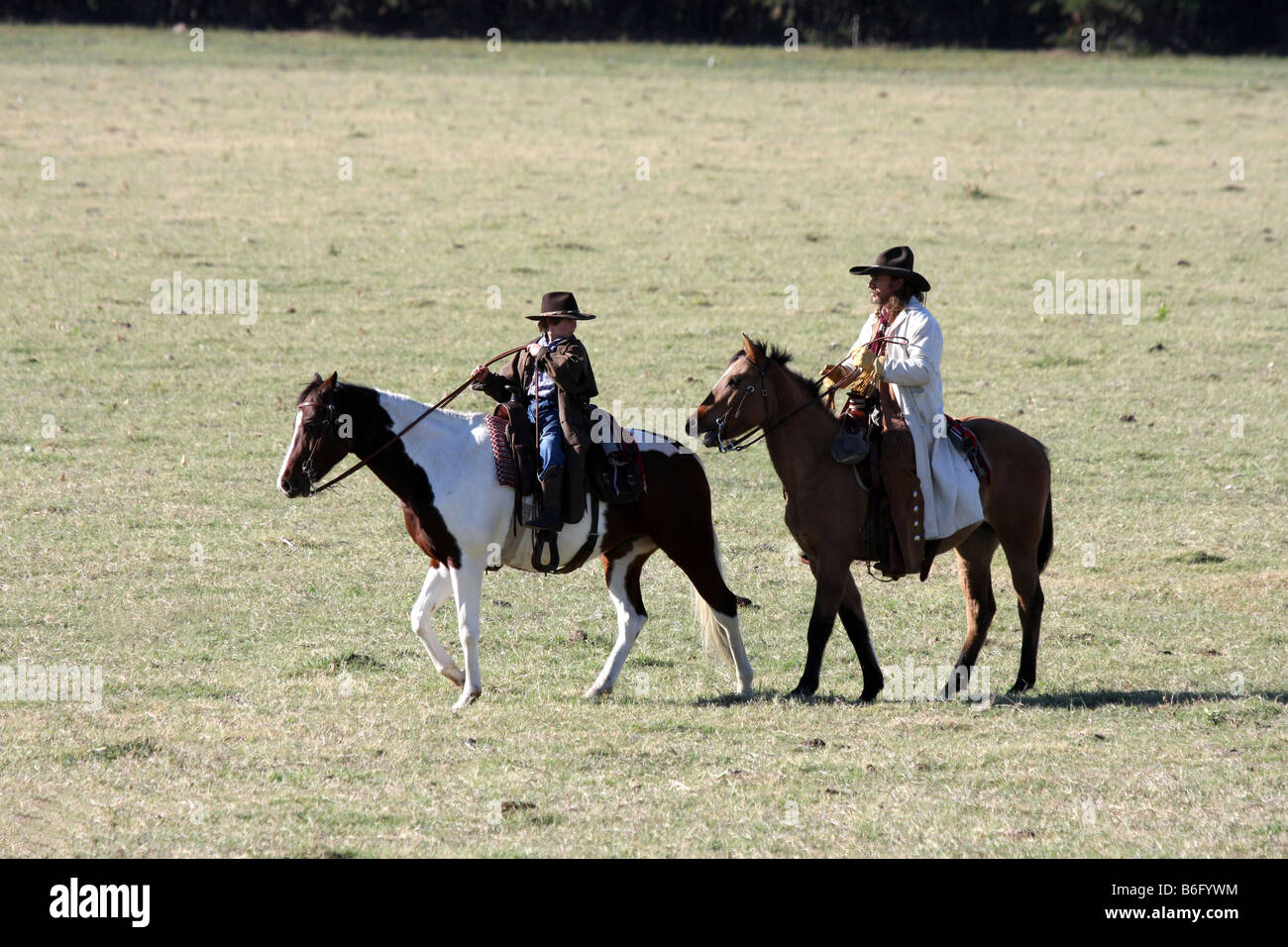 Round up cattle hi-res stock photography and images - Alamy