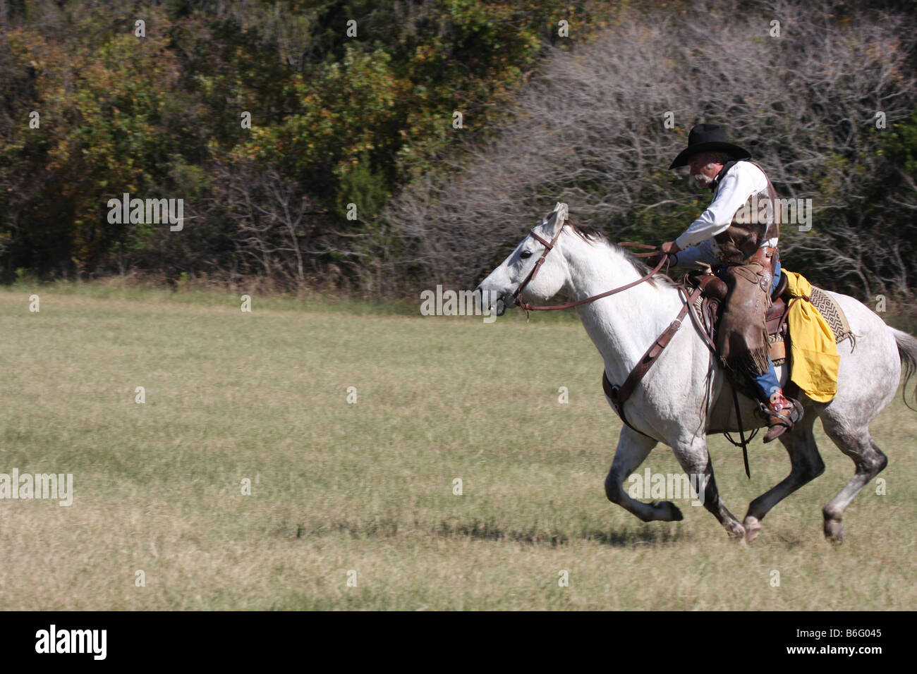 A cowboy galloping full speed in a Texan field in fall Stock Photo - Alamy
