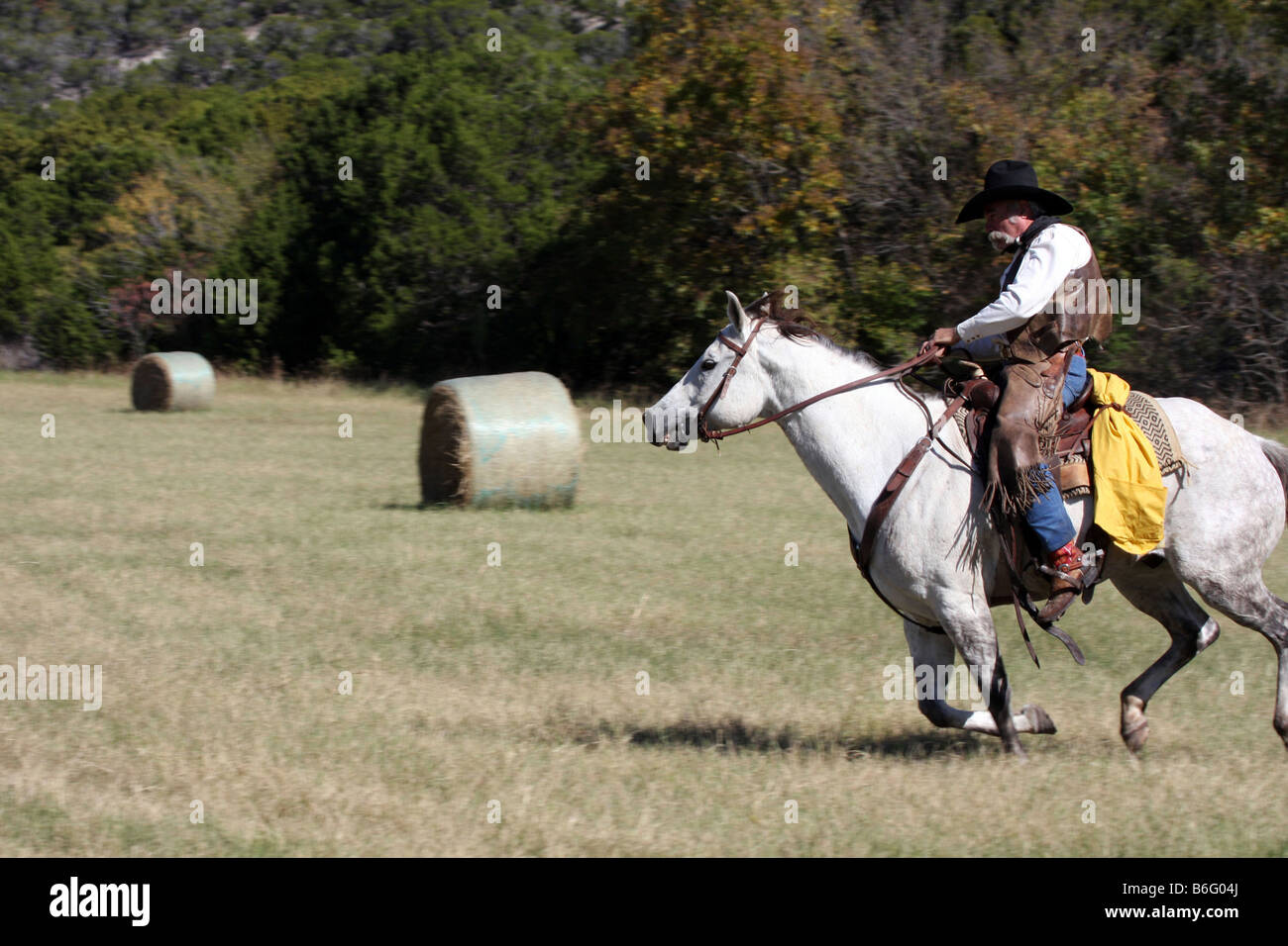 Cowboy riding horse hi-res stock photography and images - Alamy