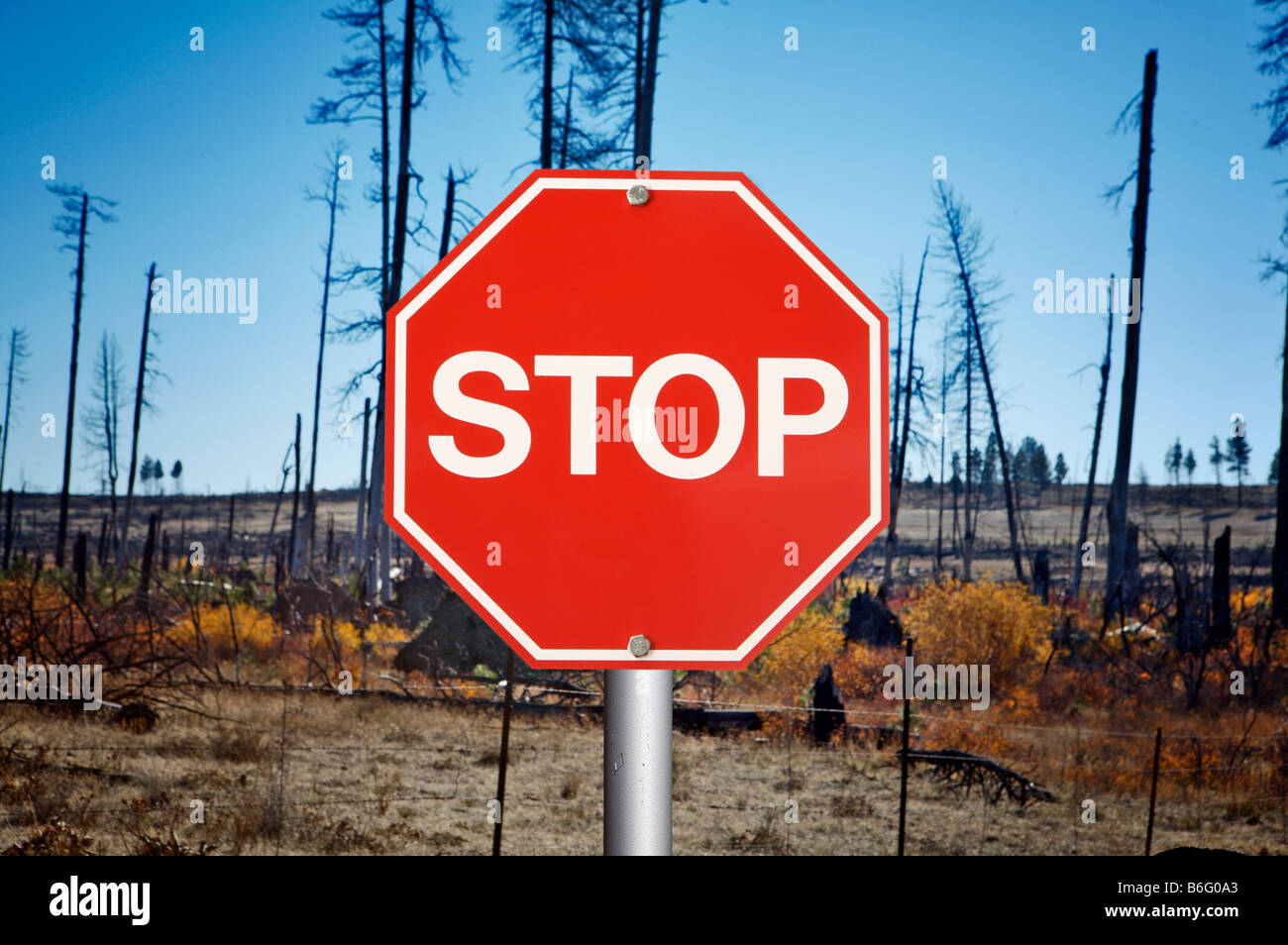 Burnt traffic sign hi-res stock photography and images - Alamy