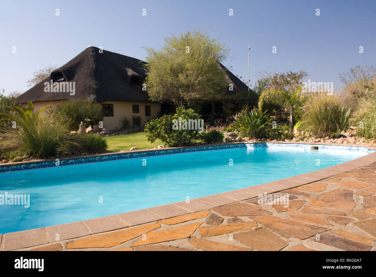 Swimming pool at Immanuel Lodge, Windhoek, Namibia Stock Photo - Alamy