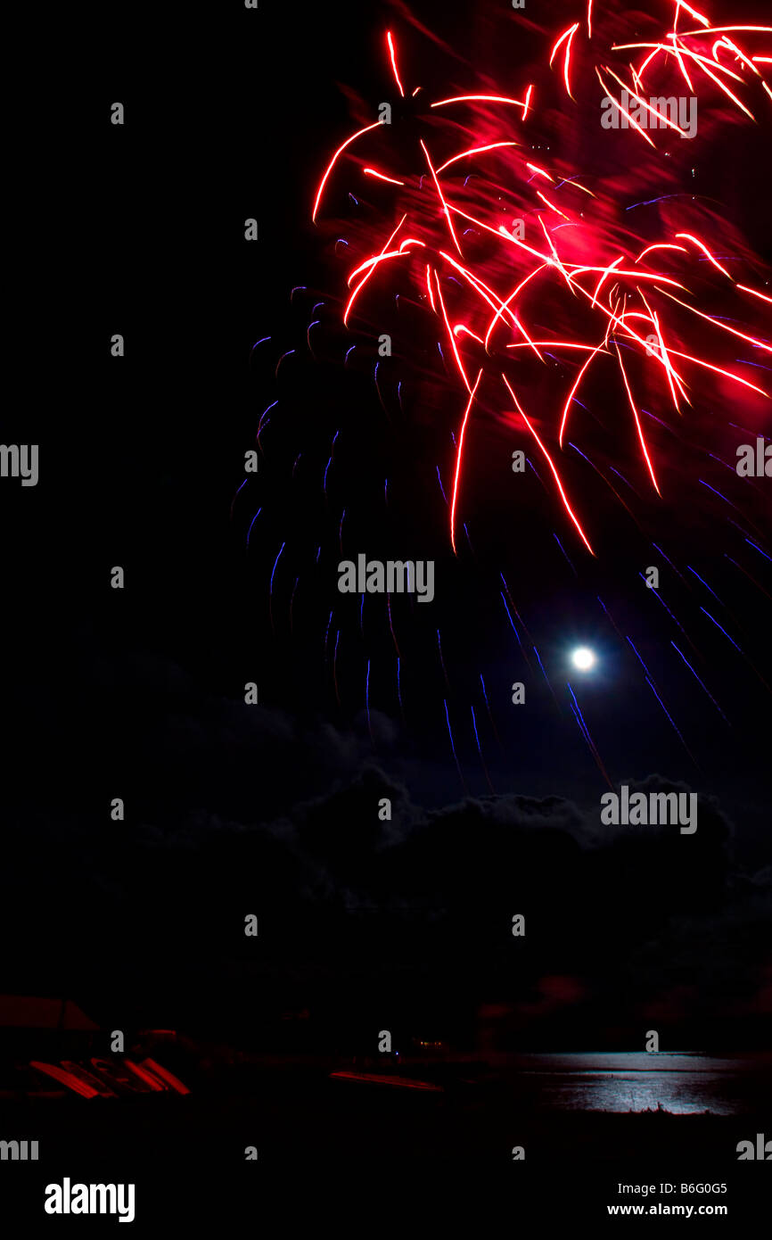 Firework display light show rocket explosion spread in black sky Full ...