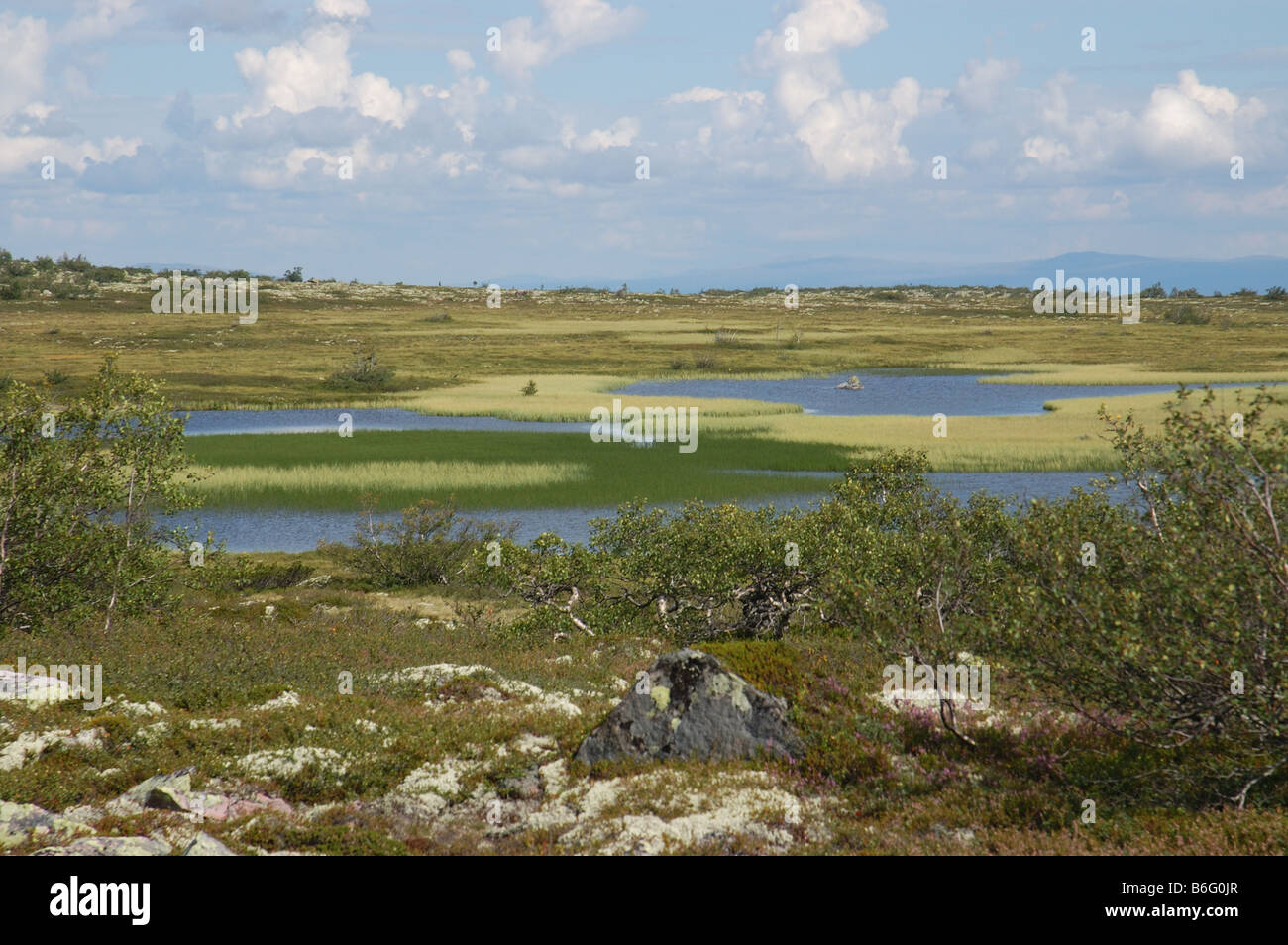 Pan Park Sweden Stock Photo - Alamy