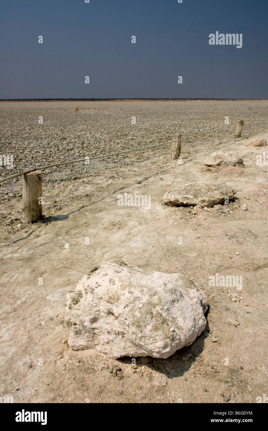 The Etosha Pan, Namibia is a endorheic salt pan Stock Photo - Alamy