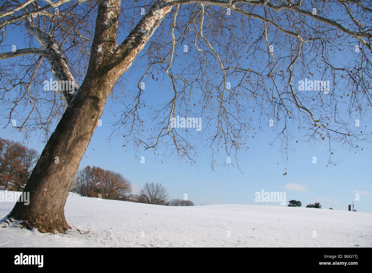 Winter wonderland With Snow Stock Photo - Alamy