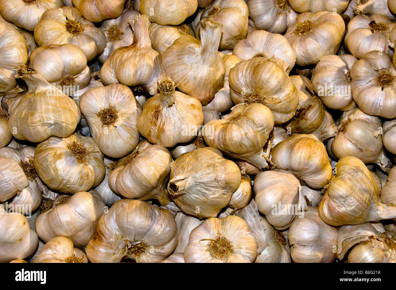 Bulbs shopping hi-res stock photography and images - Alamy