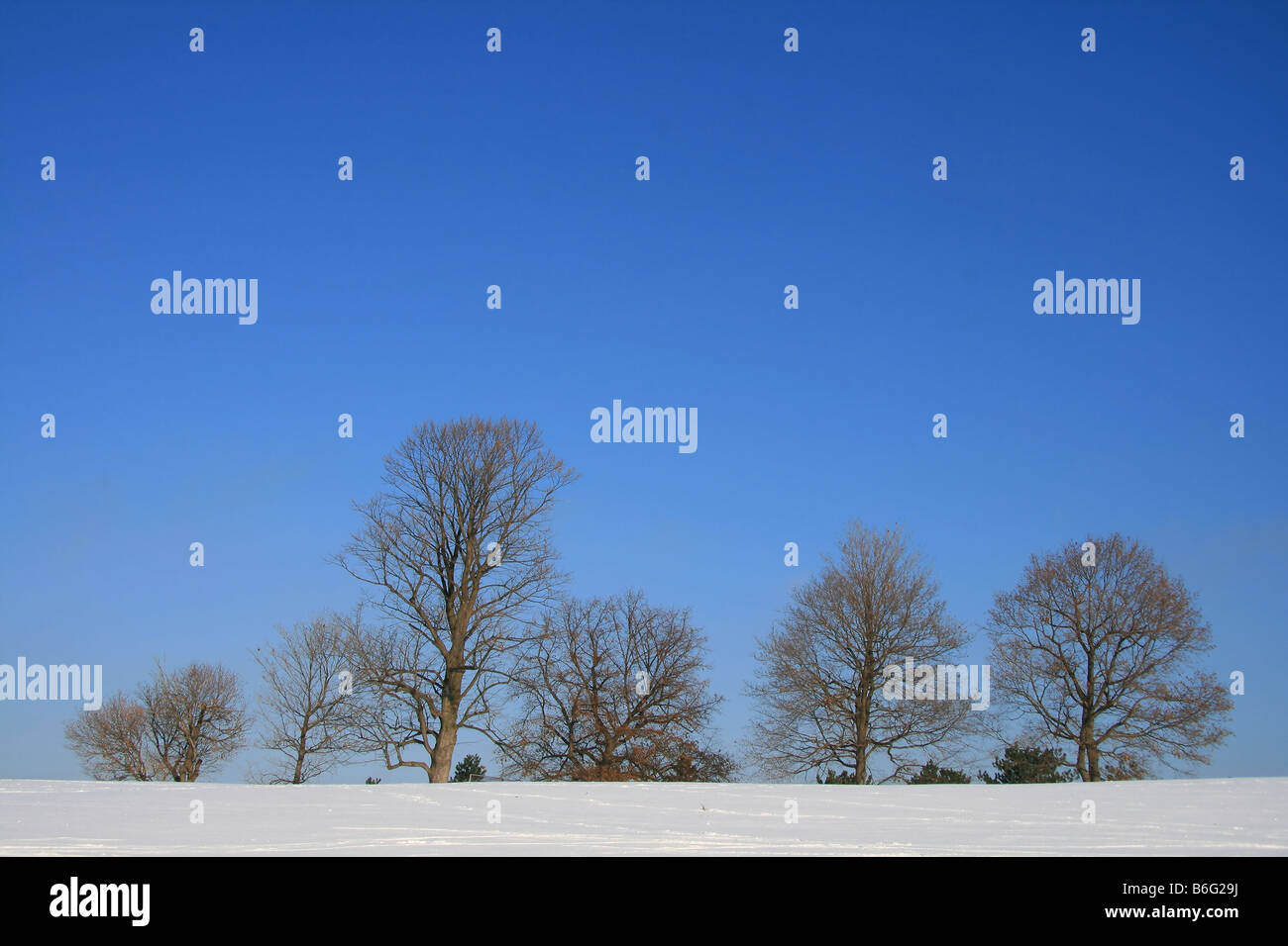Winter wonderland With Snow Stock Photo - Alamy