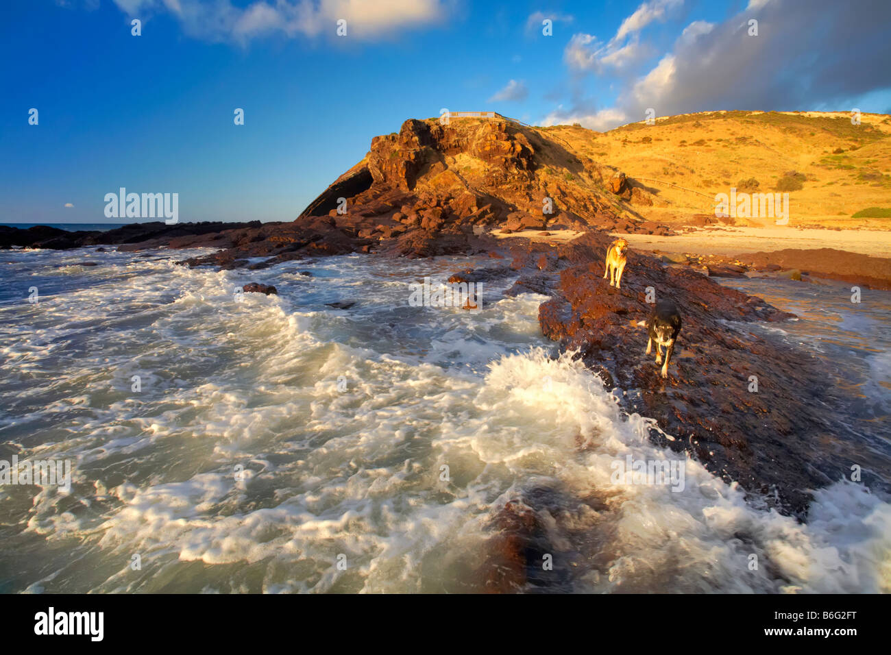 Hallet cove hi-res stock photography and images - Alamy