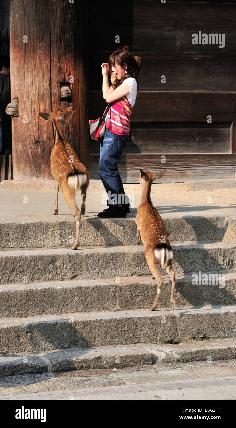 Deer scare hi-res stock photography and images - Alamy
