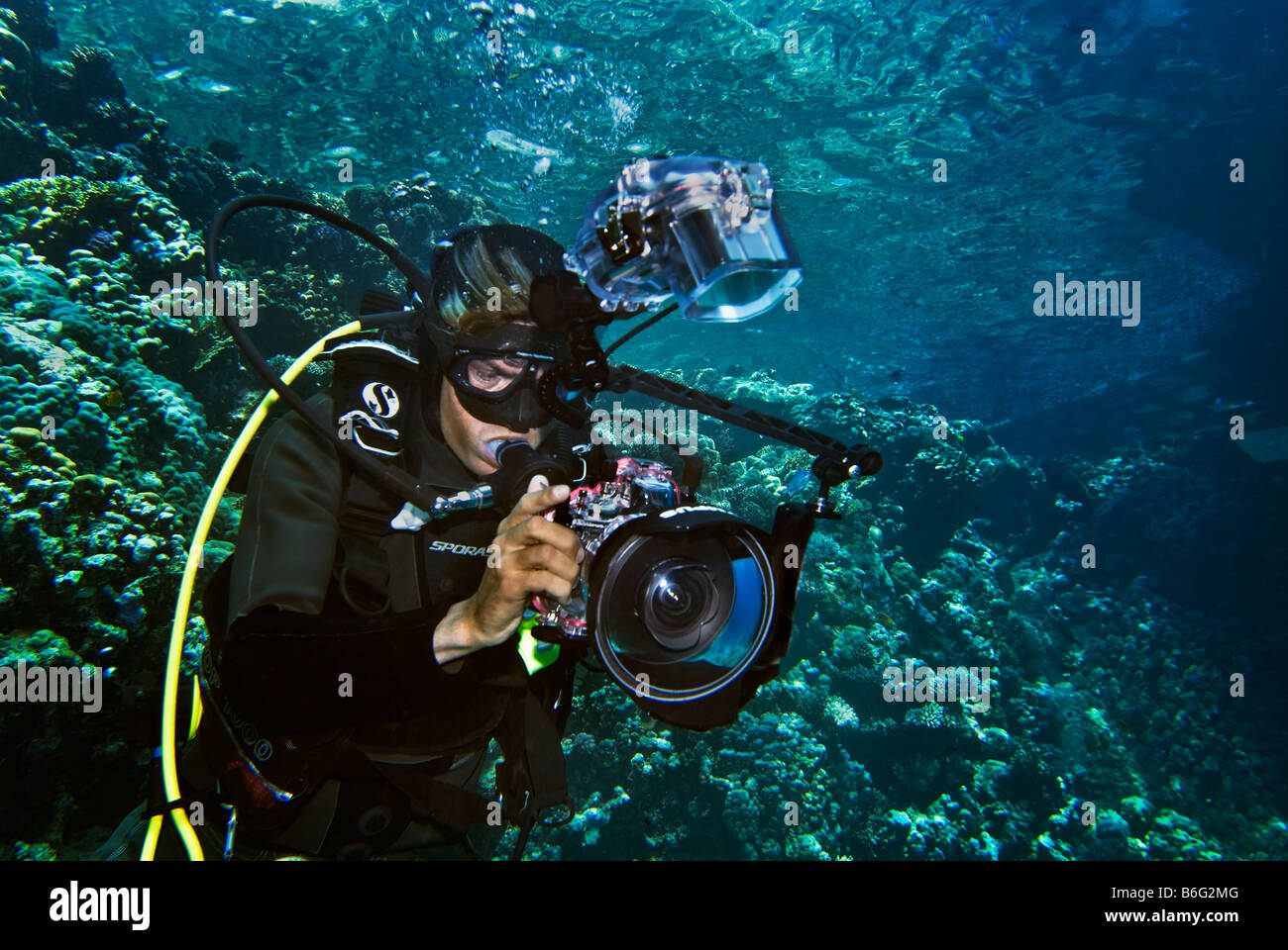 Scuba diver nature High Resolution Stock Photography and Images - Alamy