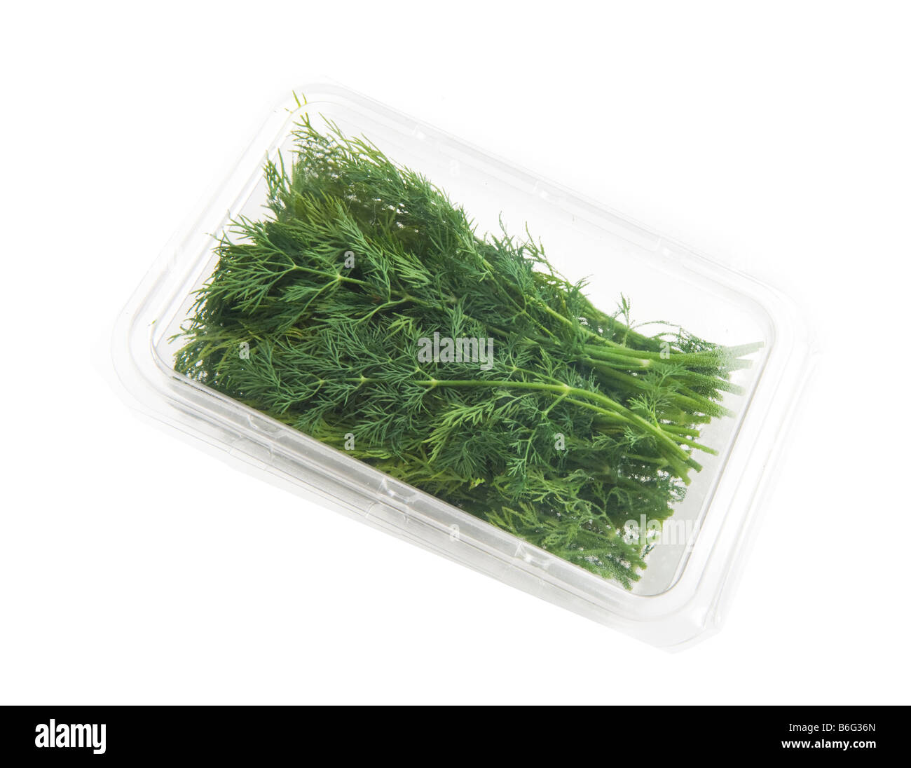 DILL leaves herb fresh green dill herbage cook cooking addition ...