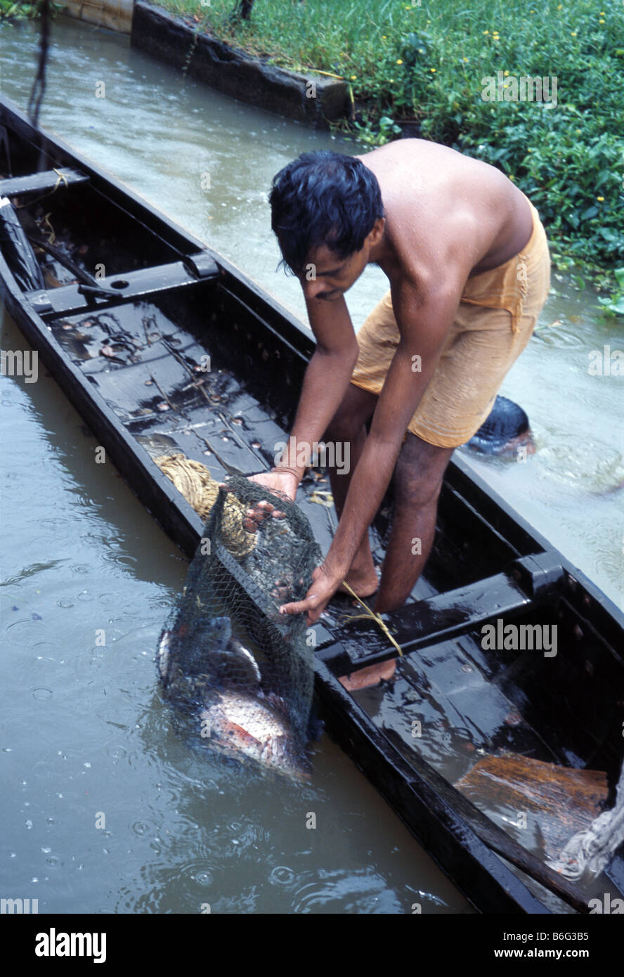 Indian fisherman in his dug out in Back Waters Kerala India Stock Photo ...