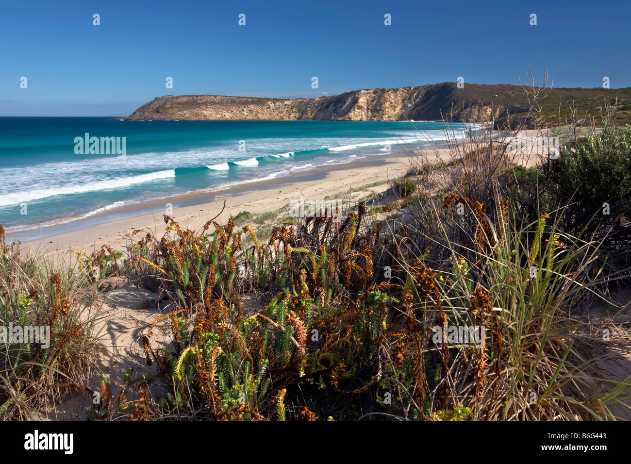 Pennington beach hi-res stock photography and images - Alamy