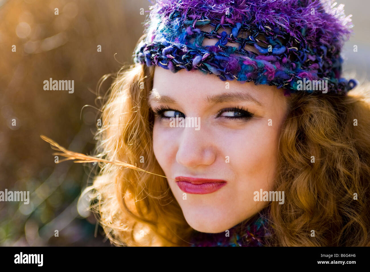 Twig in its mouth hi-res stock photography and images - Alamy